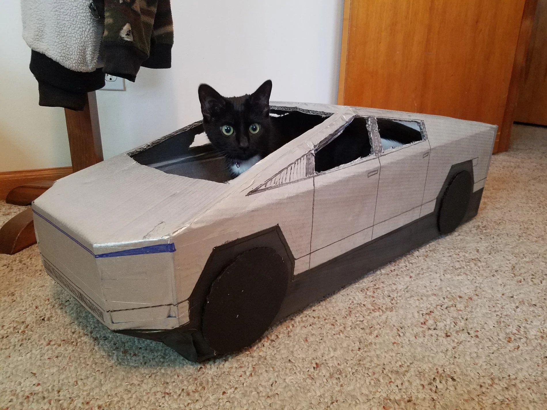 Funny Cybertruck memes, images, videos 🤣 | Page 4 | Tesla Cybertruck ...