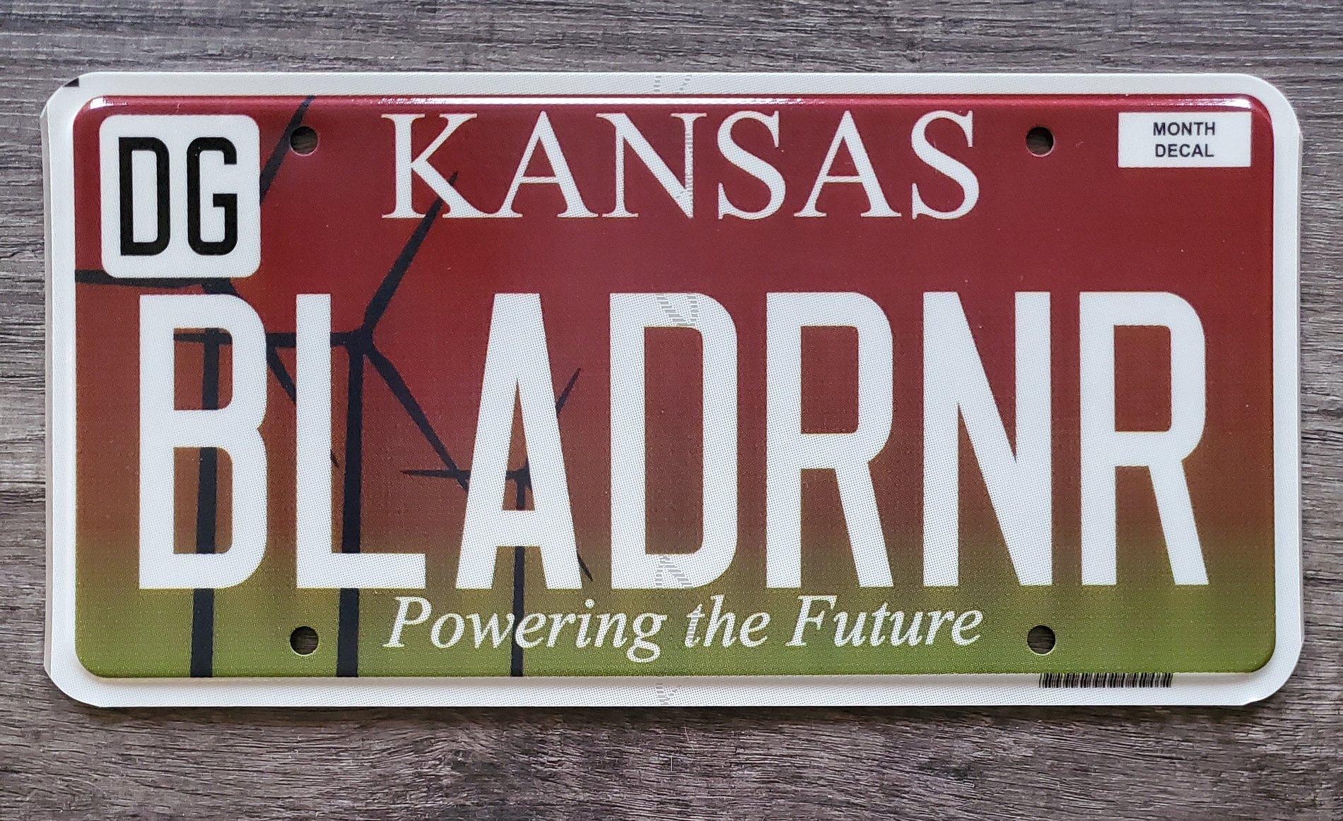 Custom vanity license plate for your Cybertruck? | Page 11 | Tesla ...