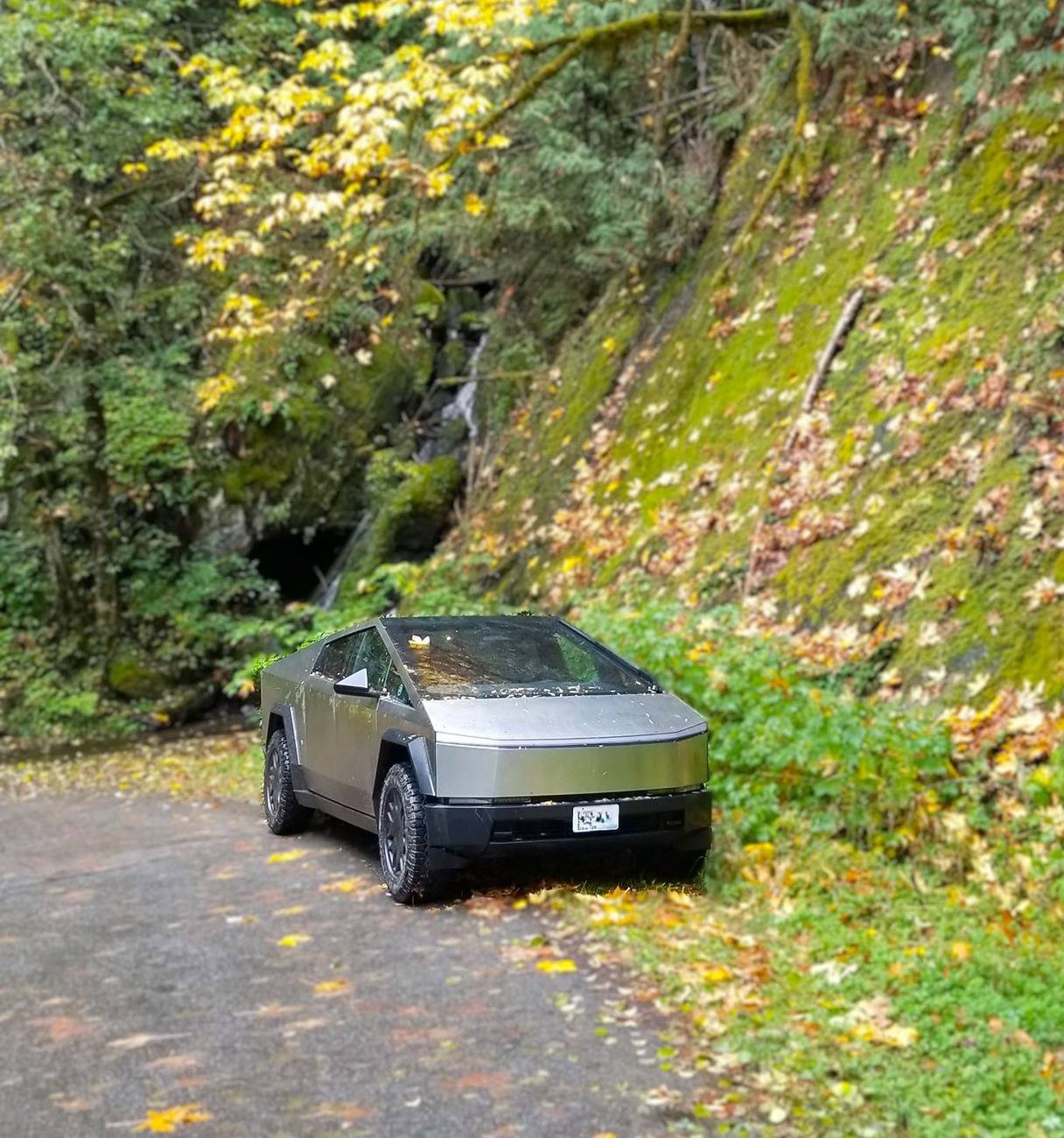 Show off your Cybertruck in fall colors | Page 2 | Tesla Cybertruck ...