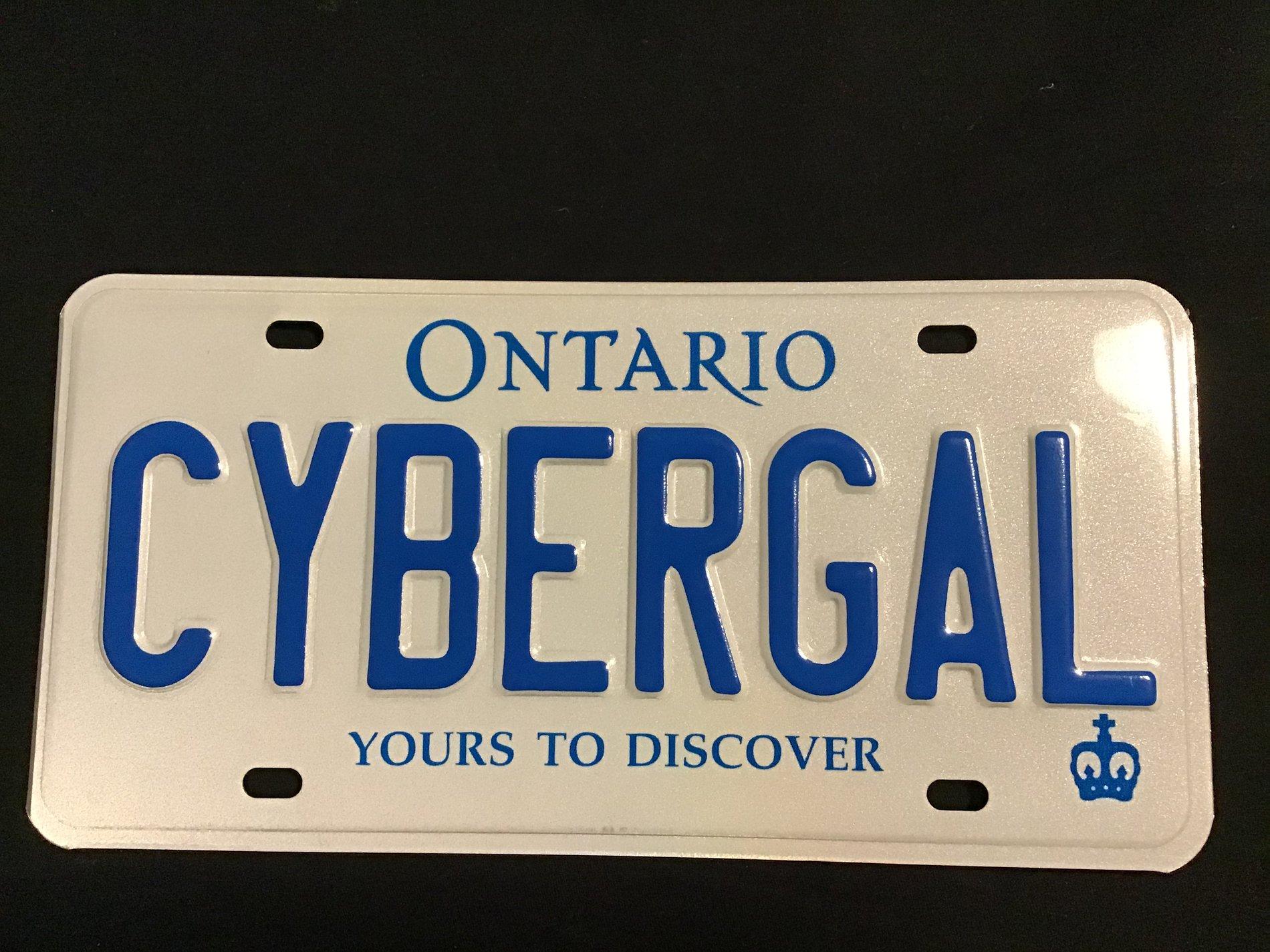 Personalized vanity / custom license plate for your Cybertruck? | Page ...