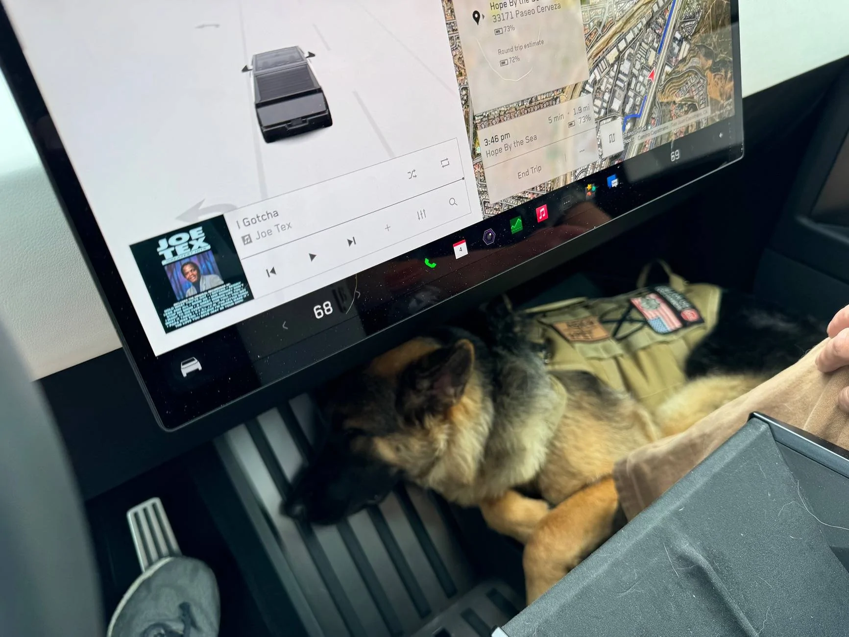 Cybertruck is awesome for Dogs | Tesla Cybertruck Forum - Cybertruck ...
