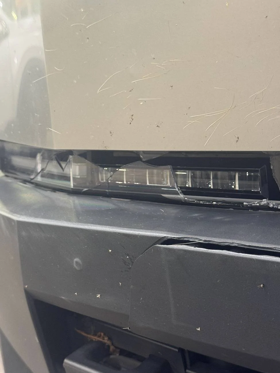 Deer collision | Tesla Cybertruck Forum - Cybertruck Owners Club