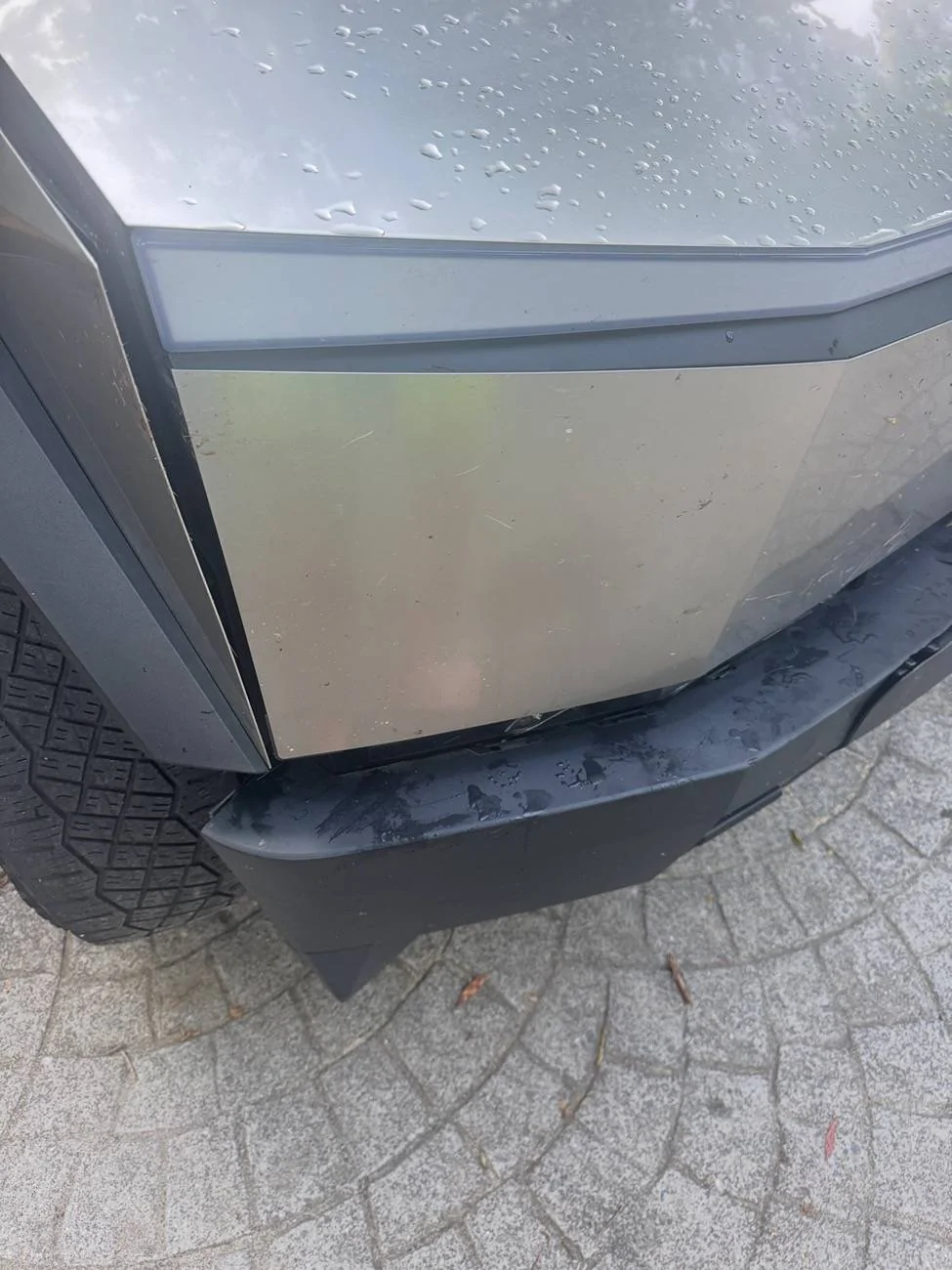 Deer collision | Tesla Cybertruck Forum - Cybertruck Owners Club